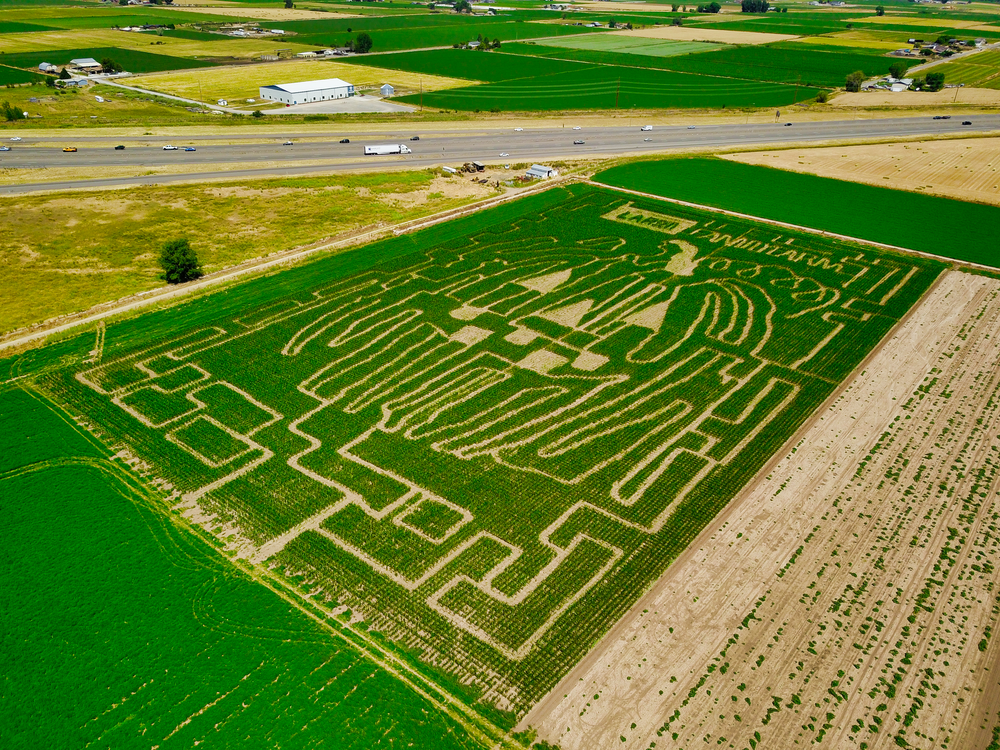 Glen Ray’s Corn Maze: Giveaway! – the mommy avenger