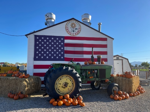 Fall Festival at Cross E Ranch – the mommy avenger