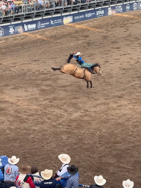 Celebrate Pioneer Day with the Utah Days of ’47 Rodeo – the mommy avenger